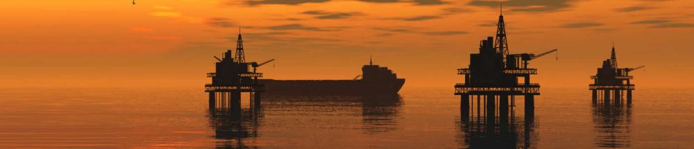 CP casing packer cups | Titan Oil Tools